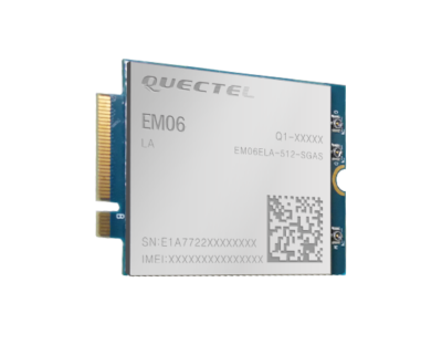 EM06 – 2-S Electronic